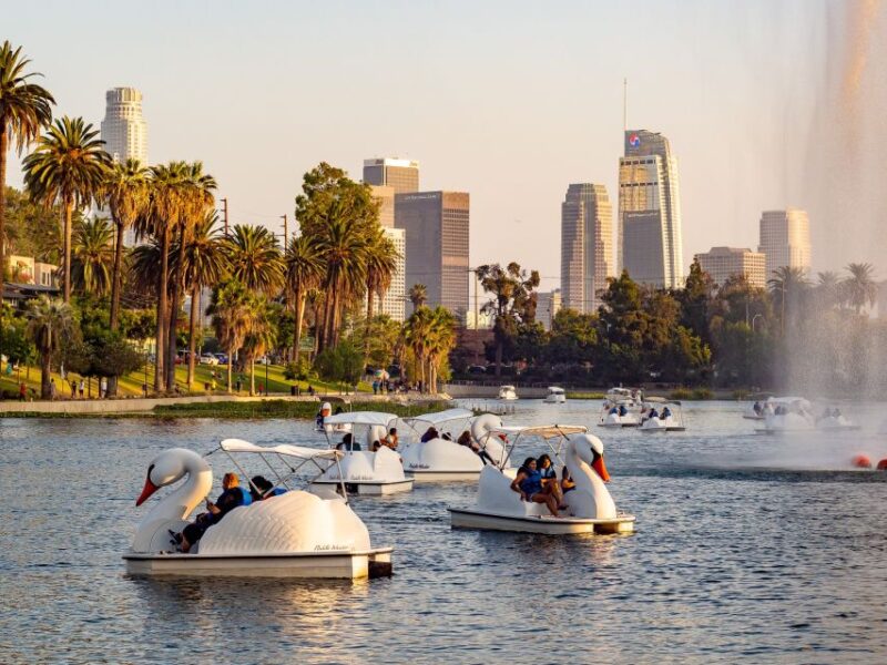 Echo Park Lake: Swan Pedal Boat Rental - What to Expect During Your Ride