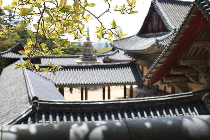 Echoes of Silla Gyeongju Historical Guided Day Tour from Busan - Hwangnidan-gil: The Trendy Historic Street