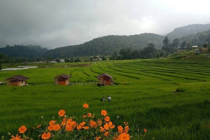 Eco 1.45Hours Hiking @Pha Dok Siaw + Doi Inthanon & Royal Project - Who Will Love This Tour?