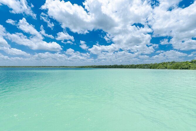 Eco Adventure At 3 Cenotes & 1 Lagoon ! From Cancun & Riviera - Who Would Enjoy This Tour?