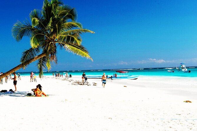 Eco Adventure At 3 Cenotes & 1 Lagoon ! From Cancun & Riviera - The Sum Up