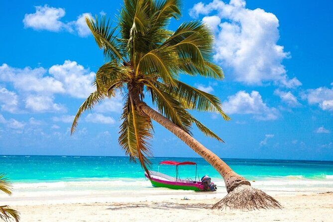 Eco Adventure At 3 Cenotes & 1 Lagoon ! From Cancun & Riviera - FAQs