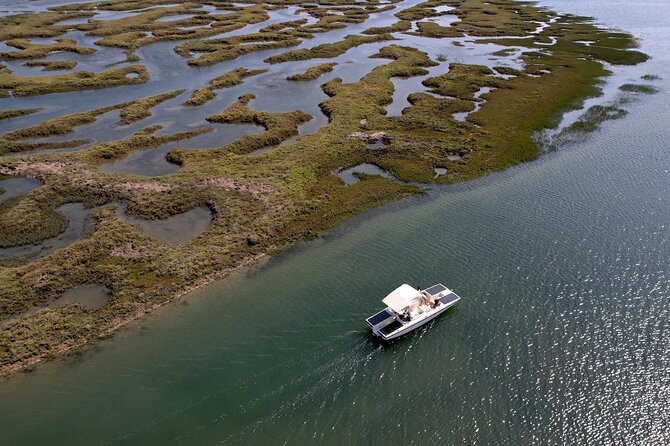 Eco Boat Tour in the Ria Formosa Lagoon From Faro - Wildlife Spotting Opportunities
