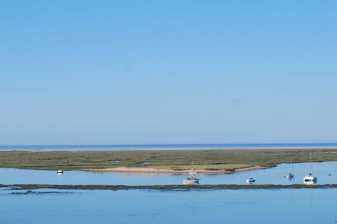 Eco Boat Tour in the Ria Formosa Lagoon From Faro - Boat Tour Logistics and Inclusions