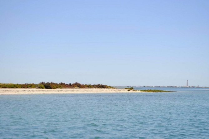 Eco Boat Tour in the Ria Formosa Lagoon From Faro - Customer Feedback and Ratings