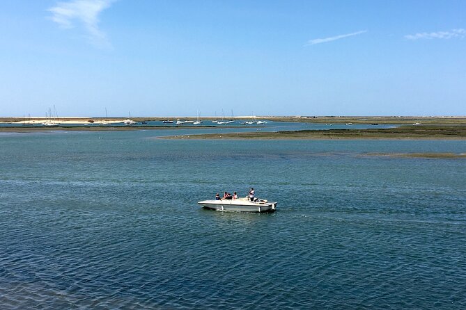 Eco Boat Tour in the Ria Formosa Lagoon From Faro - Accessibility and Booking Information