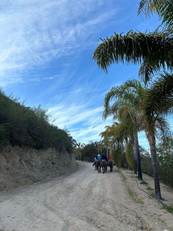 Eco Canyon Horseback Riding Excursion - An In-Depth Look at the Eco Canyon Horseback Riding Excursion