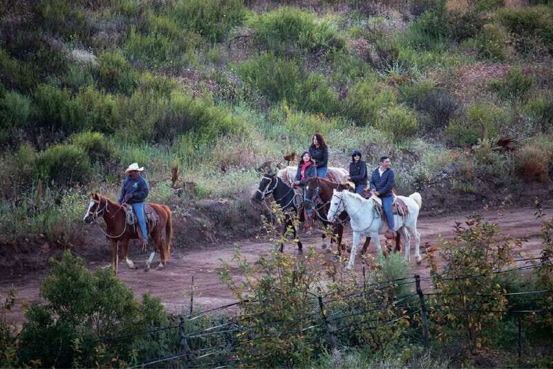 Eco Canyon Horseback Riding Excursion - Authentic, Well-Rated Guides and Stunning Views
