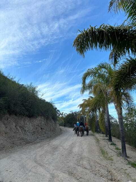 Eco Canyon Horseback Riding Excursion - Practical Tips for a Smooth Experience