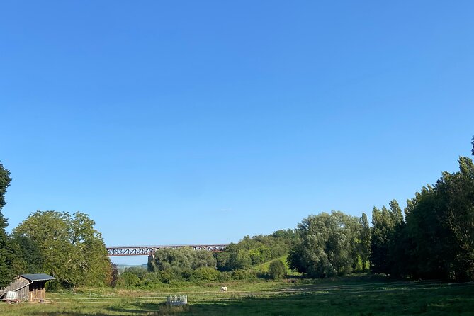 Eco Circuit to Discover Sancerre - Why Travelers Rate This Tour So Highly