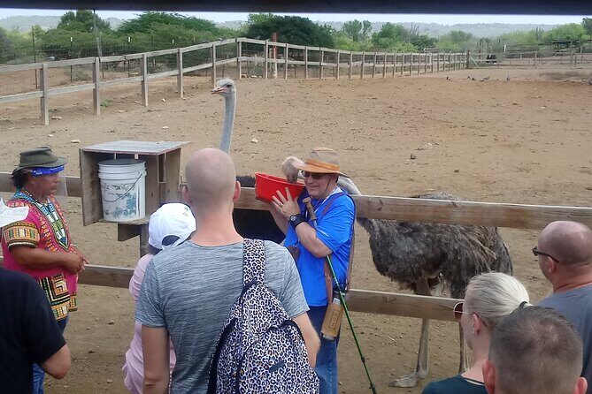 Eco & City Tour - An In-Depth Look at the Eco & City Tour