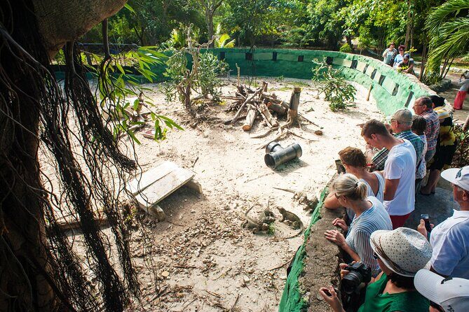 Eco Exploration: Golf Cart Adventure and Catamaran Cruise - An Overview of the Tour Experience