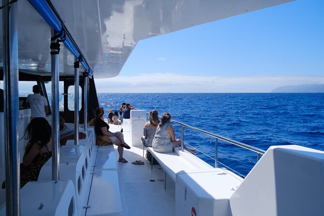 Eco-Friendly Catamaran Dolphin and Whale Watching - Practical Details and Tips