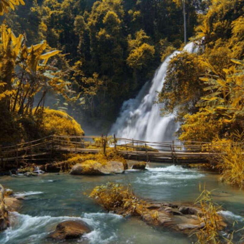 Eco-Friendly: Doi Inthanon & Pha Dok Siew Trekking Day Trip - What’s Included and What’s Not