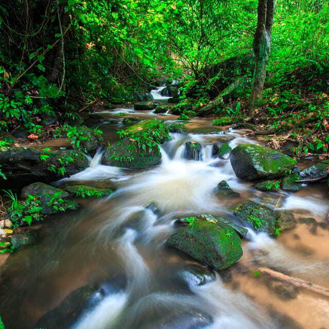 Eco-Friendly: Doi Inthanon & Pha Dok Siew Trekking Day Trip - Frequently Asked Questions