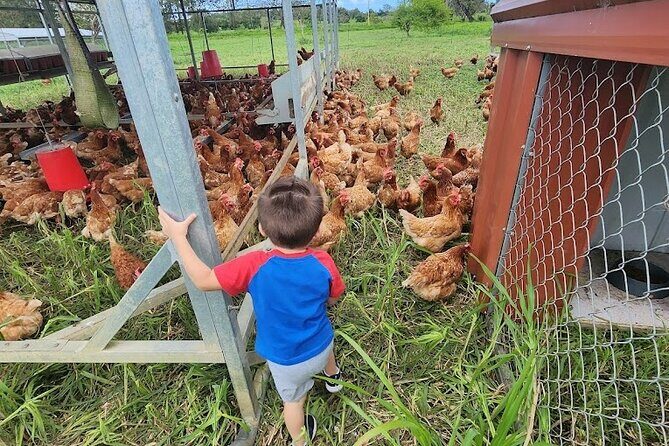 Eco Friendly Farming Tour to Explore Dorado's Most Beautiful Farm - Overview of the Experience