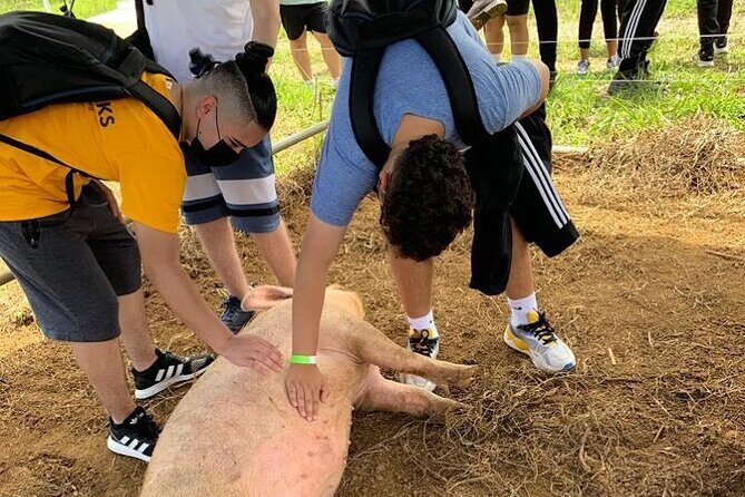 Eco Friendly Farming Tour to Explore Dorado's Most Beautiful Farm - Authentic Feedback from Travelers