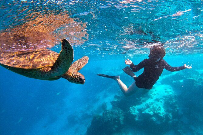 Eco Friendly Sea Scooter Turtle Tour in Rarotonga - Who Will Love This Experience?