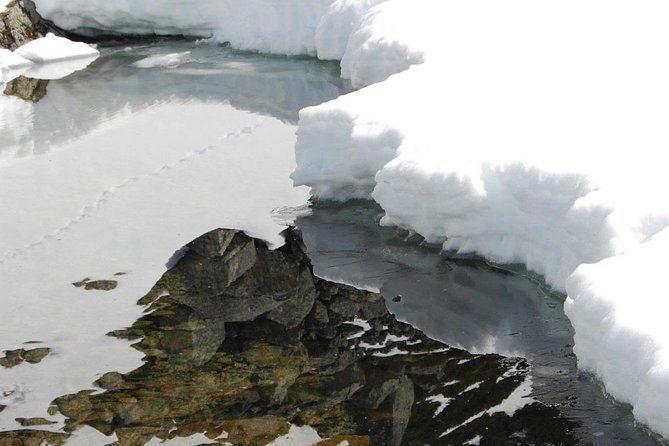 Eco Friendly Snowshoeing in Scenic Landscape - Experiencing the Guided Snowshoeing Excursion