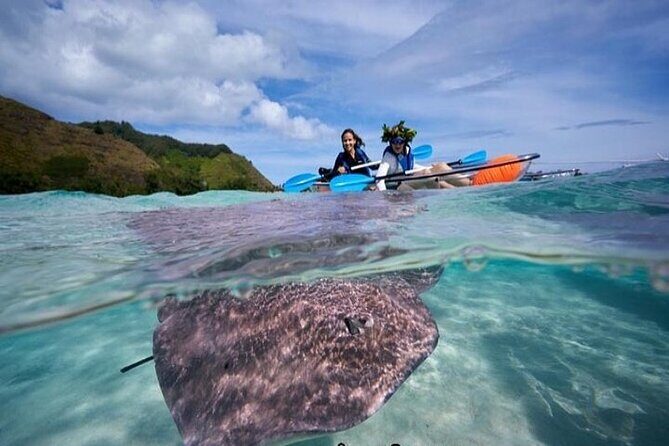 Eco guided excursion to the lagoon of Moorea in a transparent kayak Afternoon 2h - Why This Tour Is Worth Considering