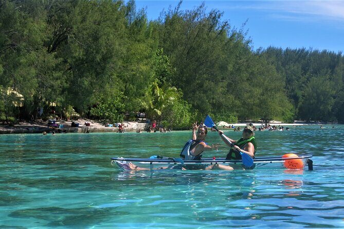 Eco guided excursion to the lagoon of Moorea in transparent kayak 1/2 day morning - The Sum Up