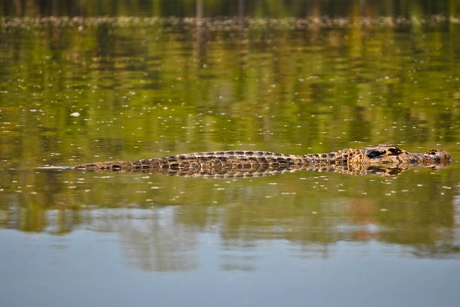 Eco Jungle - 3 Days / 2 Nights - Wildlife Sightings