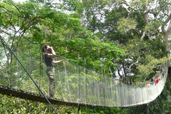 Eco Jungle - 3 Days / 2 Nights - Meal Quality and Dietary Considerations