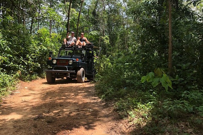 Eco Jungle Safari Tour around Koh Samui Including Lunch - Who Should Consider This Tour