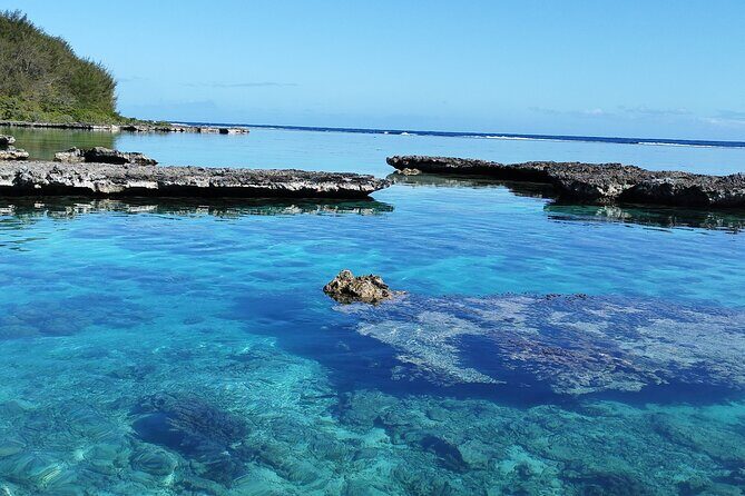 Eco Kayak Excursion in Moorea Lagoon for a Day - Authentic Encounters and Guided Expertise