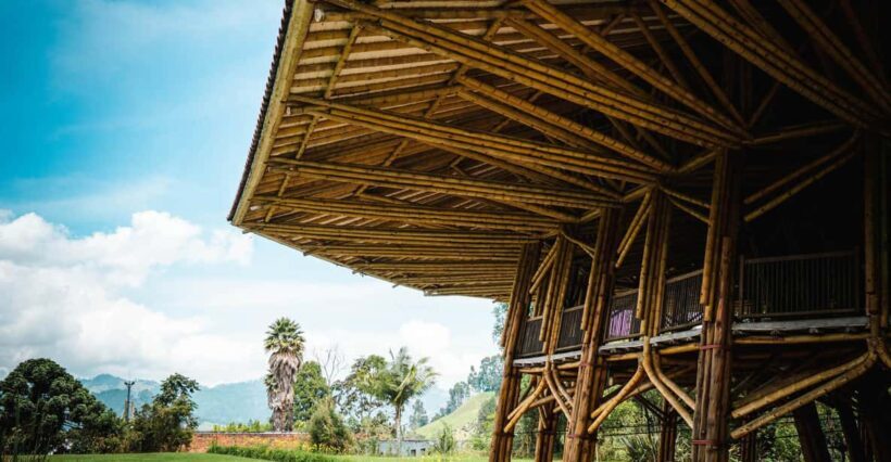 Eco-Park Recinto del Pensamiento Tour - What Makes Recinto del Pensamiento Special?