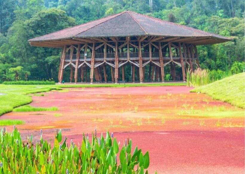 Eco-Park Recinto del Pensamiento Tour - Who Will Find This Tour Most Valuable?