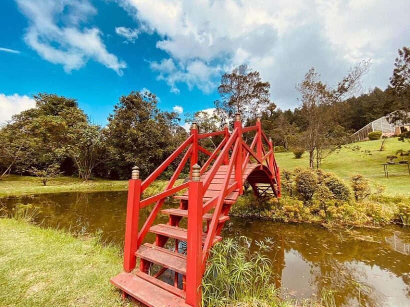 Eco-Park Recinto del Pensamiento Tour - FAQ