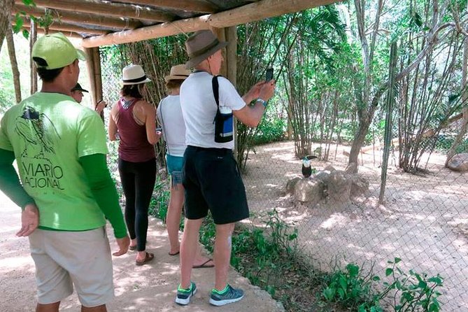 Eco Plan National Aviary and Lunch in Playa Mambo Beach Barú - Inclusions and Amenities