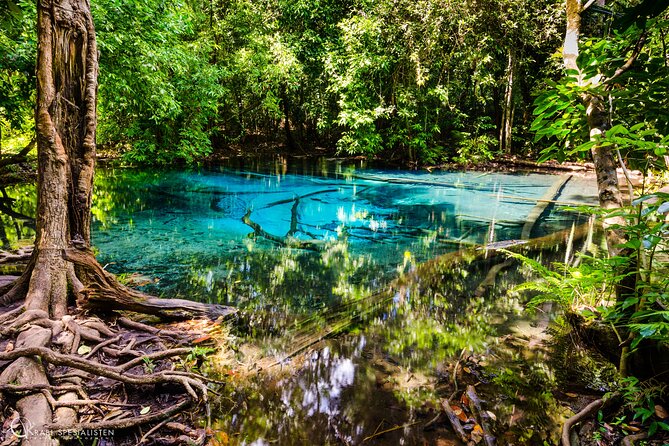 ECO Premium Jungle Hot Springs and Temple Tour - What Could Be Better