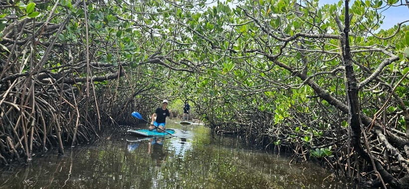 Eco River Adventure - Why This Tour Stands Out