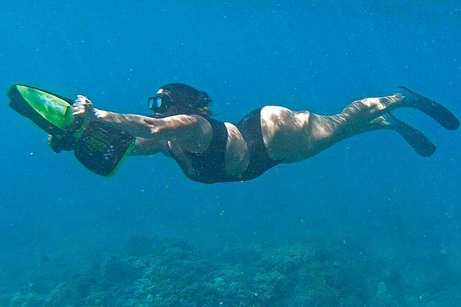 Eco Sea Scooter Guided Beach Tour From The Famous Kapalua Bay - Who Will Love This Experience?