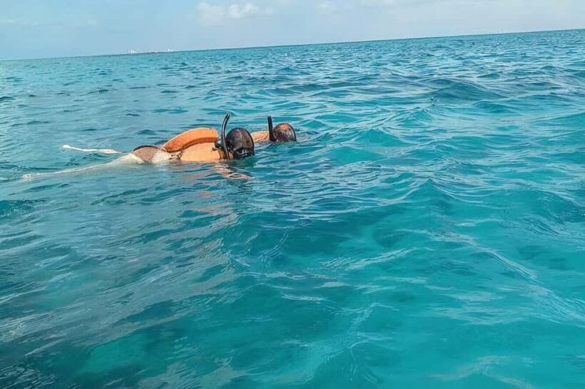 Eco Speedboat Snorkeling Experience from Punta Cana - Who Will Love This Tour?