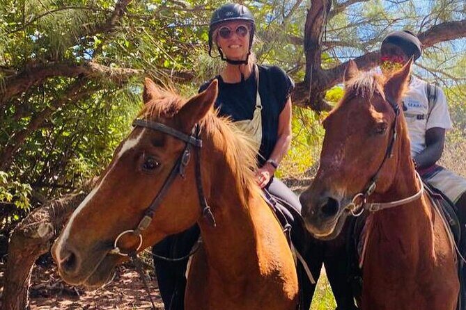 ECO Tour East Coast Barbados - Who Will Love This Tour?