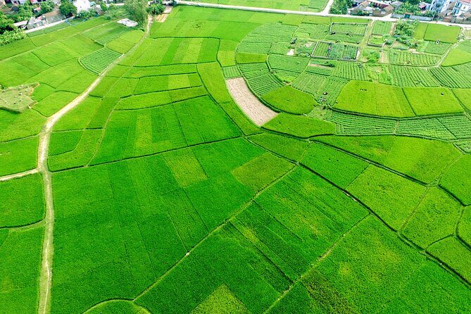 ECO TOUR in Bac Giang - 1 day experience as a farmer - A Practical Guide to the Bac Giang Eco Tour