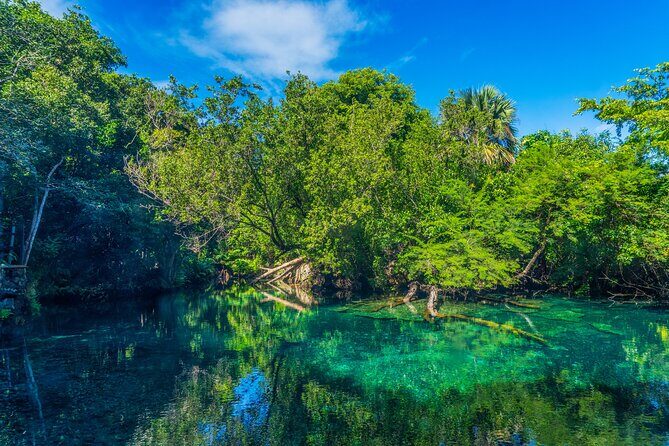 Eco Tour in the Cenotes Indigenous Eyes in Punta Cana - A Closer Look at the Experience