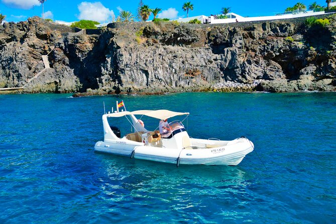 Eco Tour in the South of Tenerife with Snorkeling and Bathing Included - Who Should Consider This Tour?