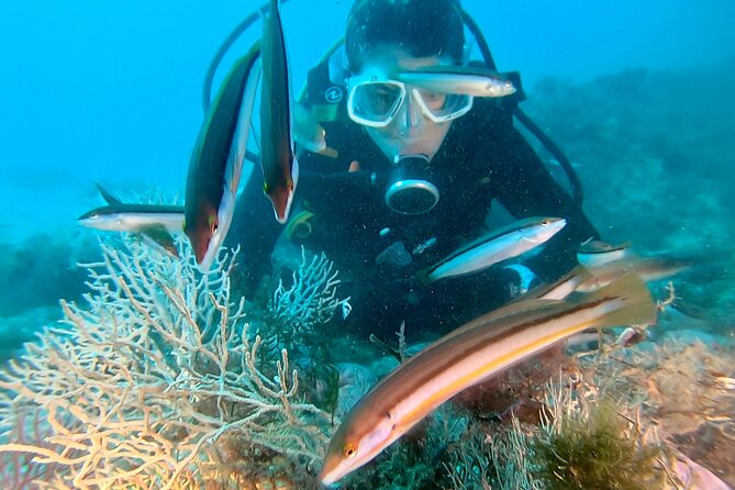 Eco - Try Dive - The Itinerary and What You Can Expect