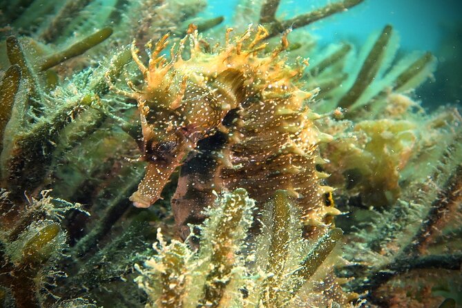 Eco - Try Dive - The Sum Up