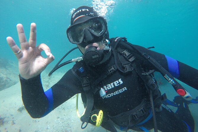 Eco - Try Dive - FAQ