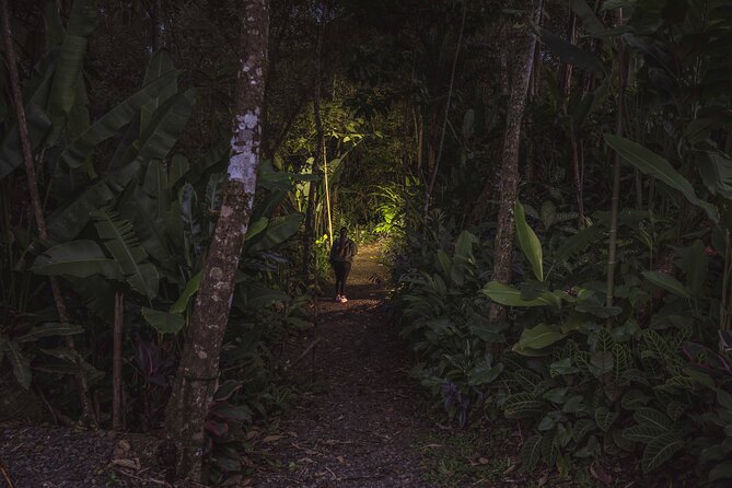 Ecogarden Arenal Night Walk - Spotting Nocturnal Wildlife in Ecogarden Arenal