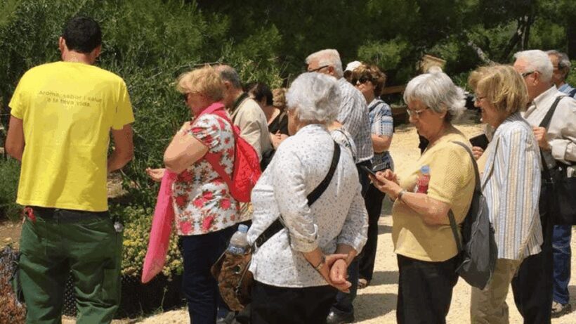 Ecoherbes - Guided Visit to the botanical garden - Key Points
