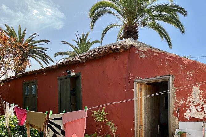 Ecological Banana Plantation Tour - Logistics and Meeting Point Details