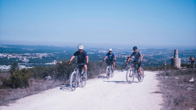 Ecopista E-bike and Basketry tour - The Experience: A Closer Look