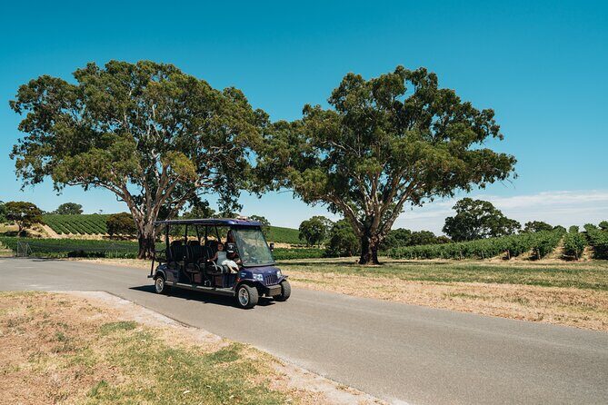 EcoVine Explorer Vineyard E-Cart Tours - Key Points