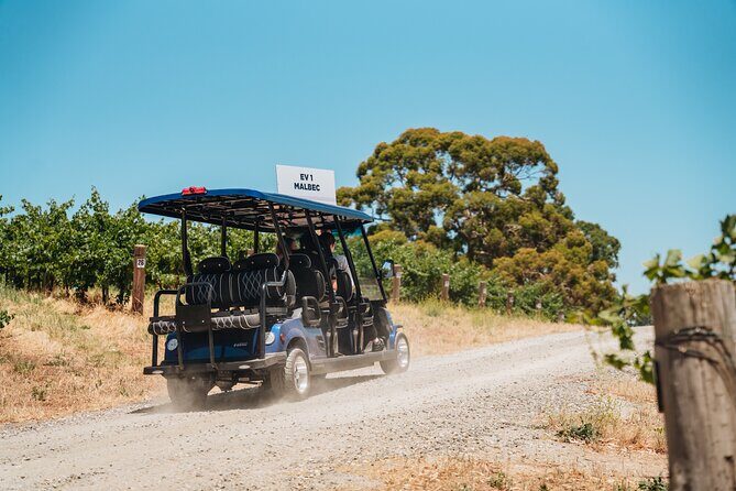 EcoVine Explorer Vineyard E-Cart Tours - Introduction: A Sustainable Spin Through Barossa’s Vineyards
